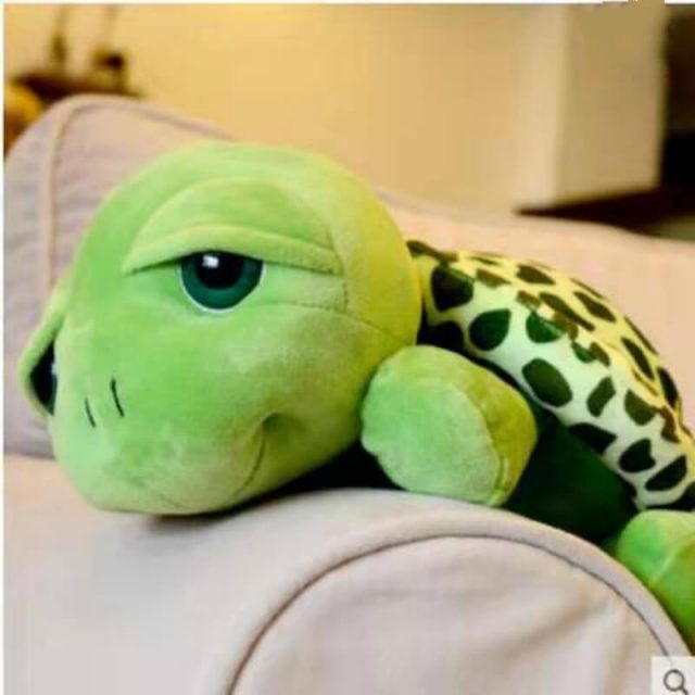 Big Eyed Turtle Plush | My Heart Teddy™